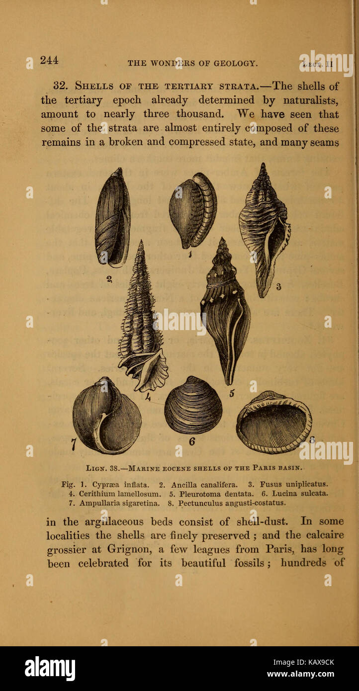 The wonders of geology; or A familiar exposition of geological ...