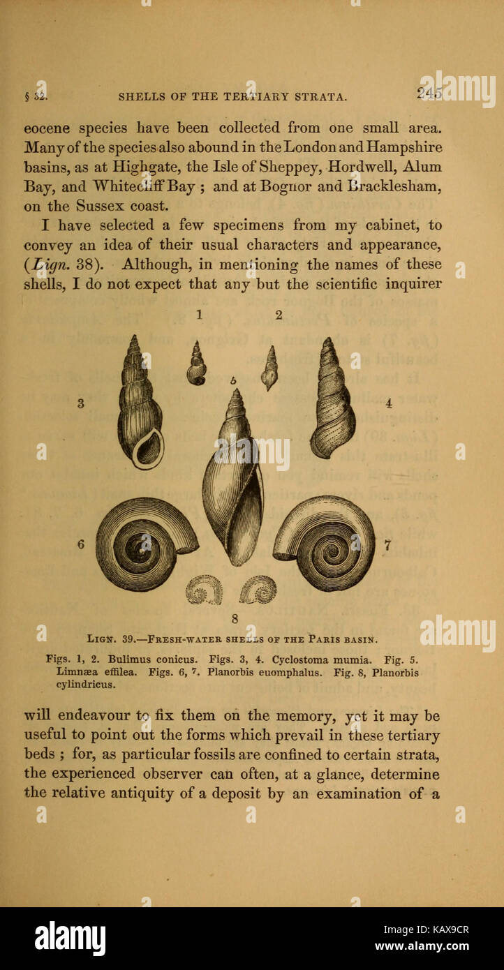 The wonders of geology; or A familiar exposition of geological ...