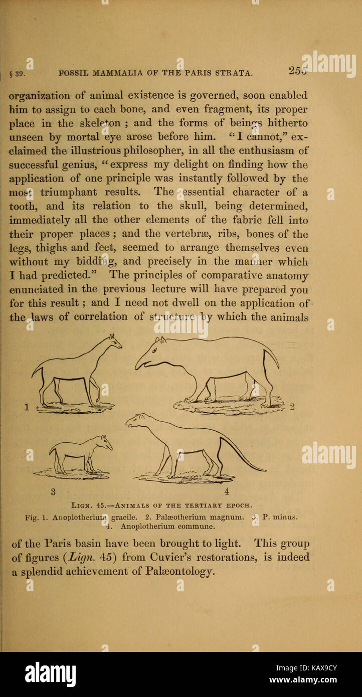 The wonders of geology; or A familiar exposition of geological ...