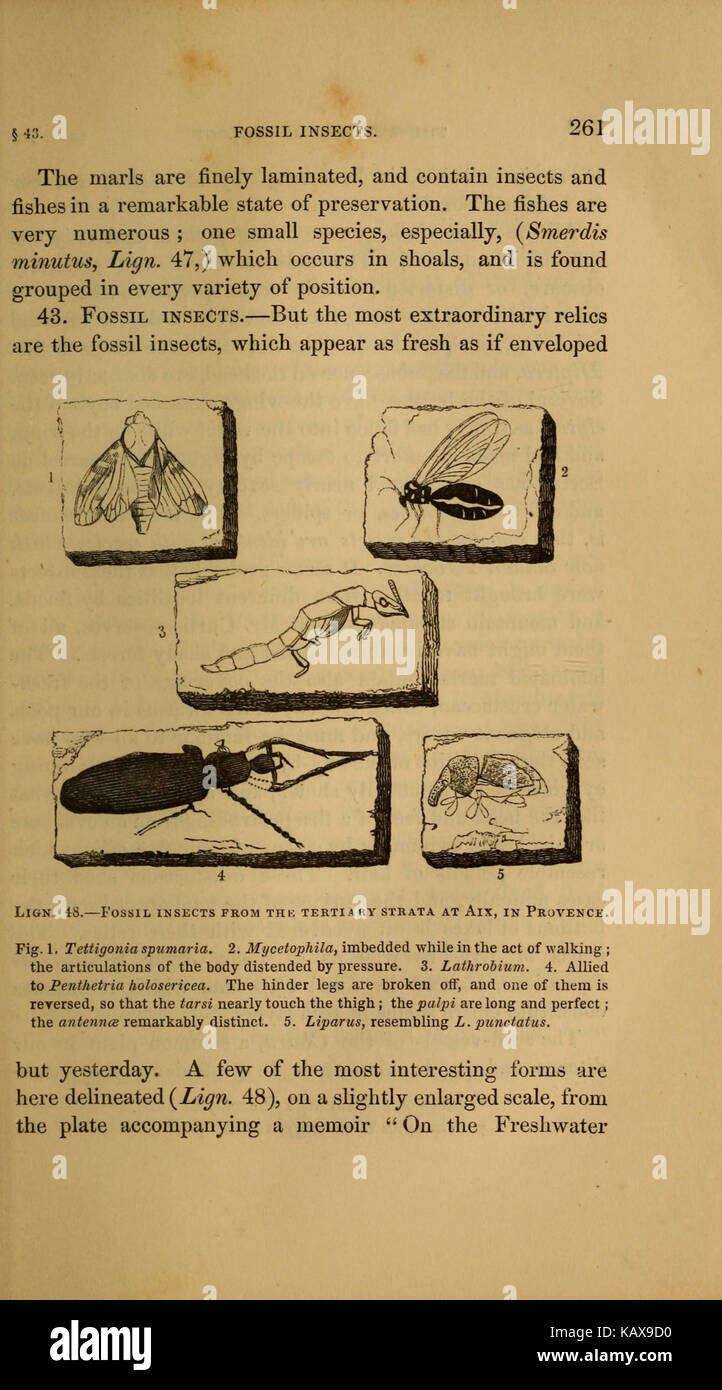 The wonders of geology; or A familiar exposition of geological ...