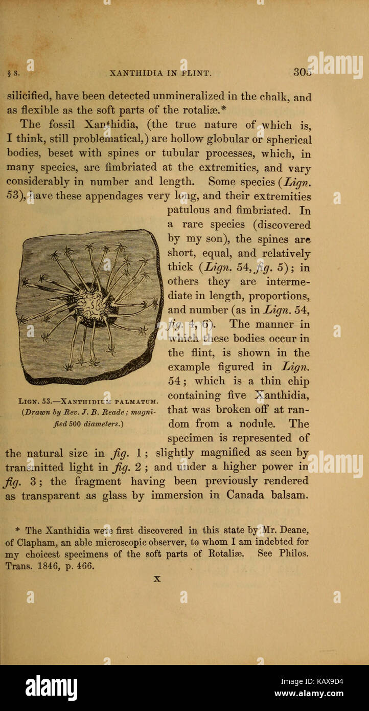 The wonders of geology; or A familiar exposition of geological ...