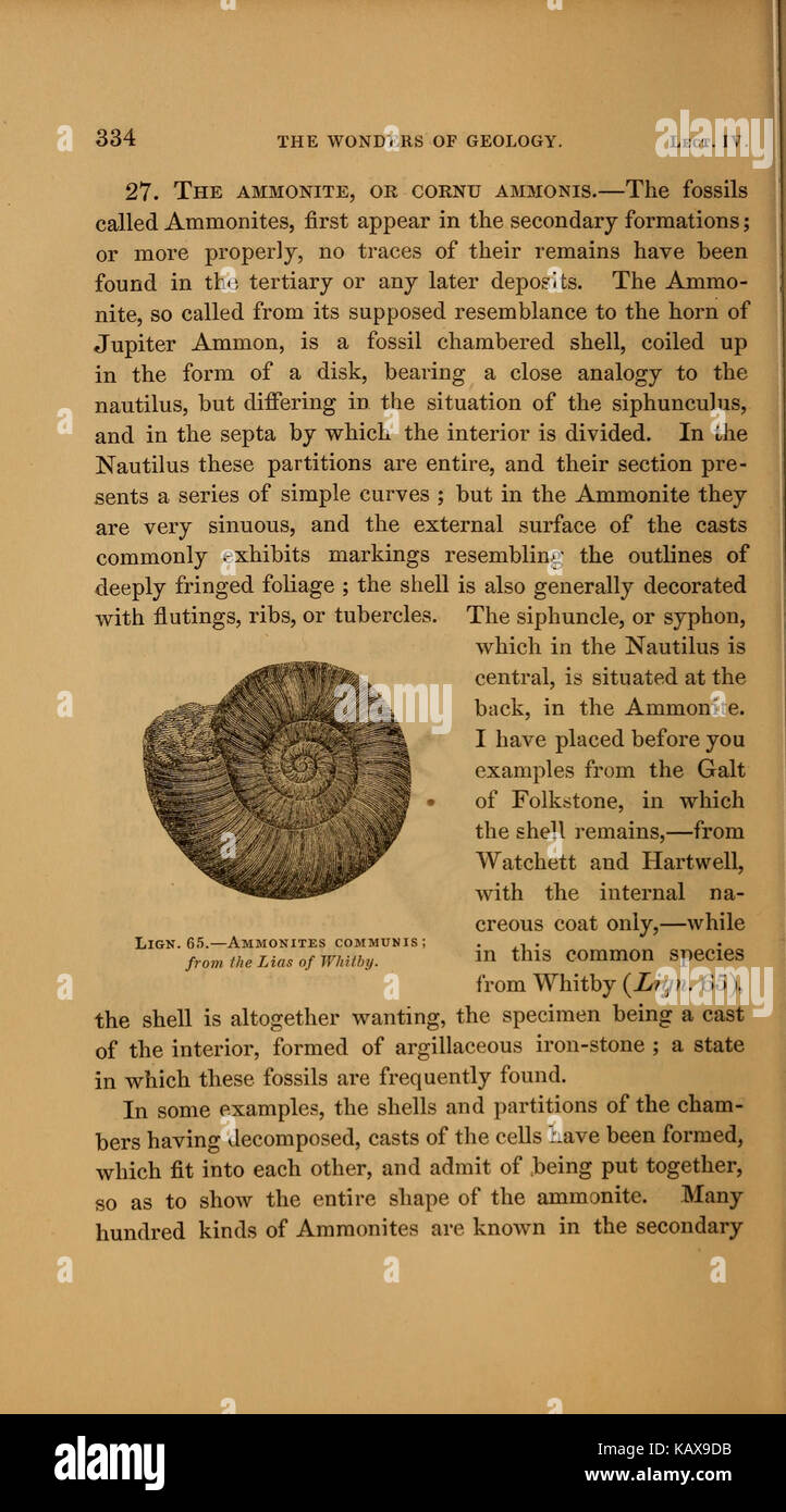 Principles of geology book hi-res stock photography and images - Alamy