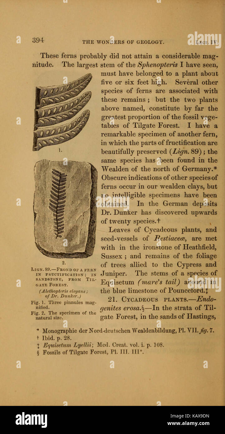 The wonders of geology; or A familiar exposition of geological ...