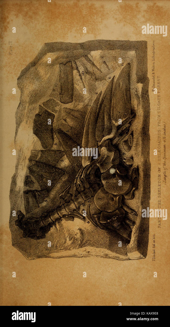 The wonders of geology; or A familiar exposition of geological ...