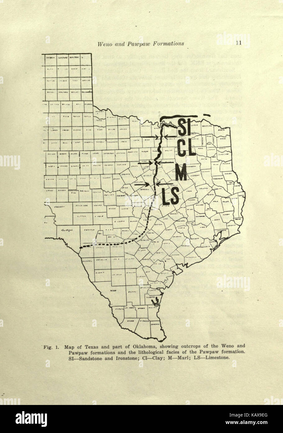 The Weno and Pawpaw formations of the Texas Comanchean (Page 11 ...