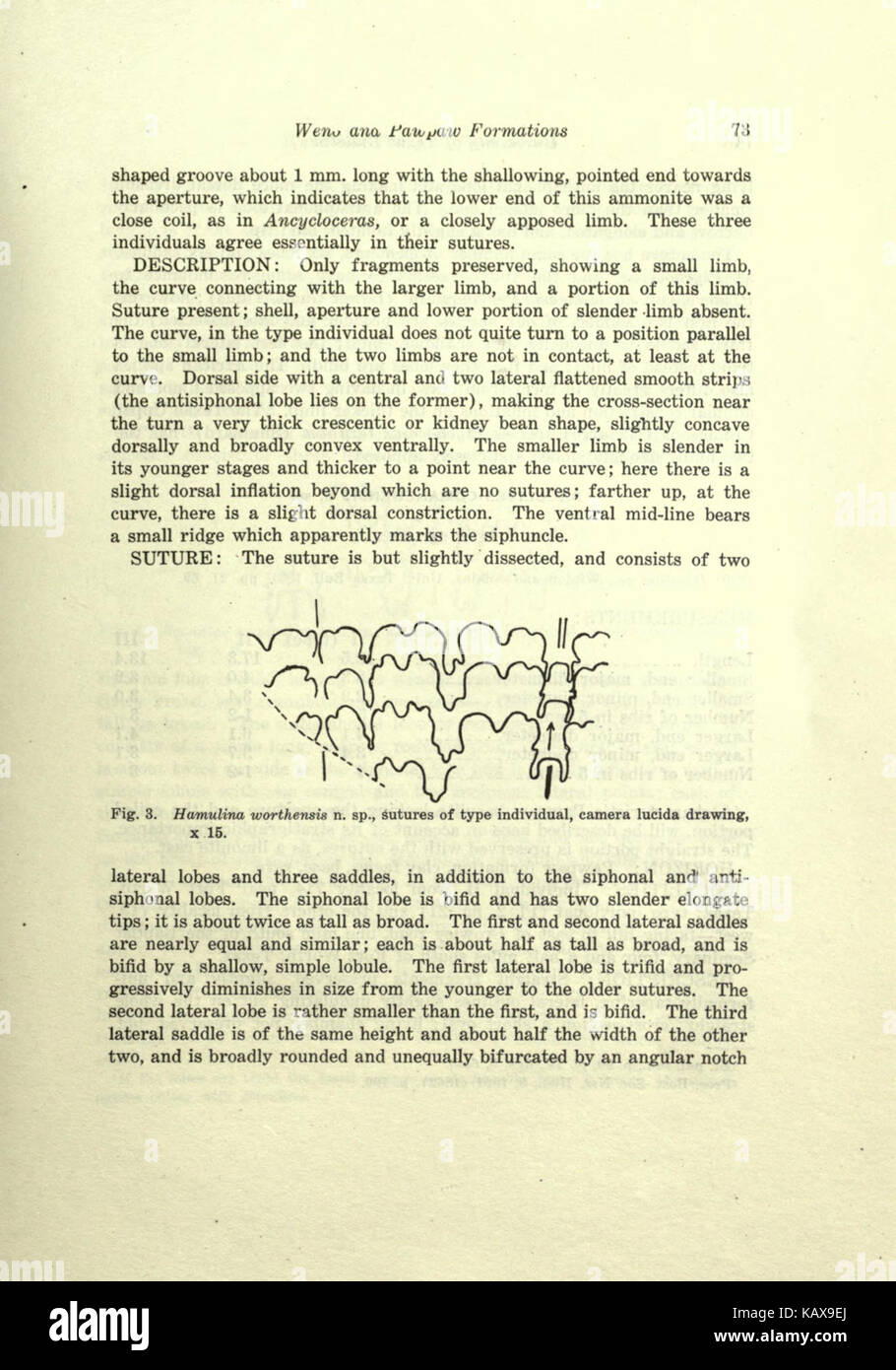 The Weno and Pawpaw formations of the Texas Comanchean (Page 73 ...