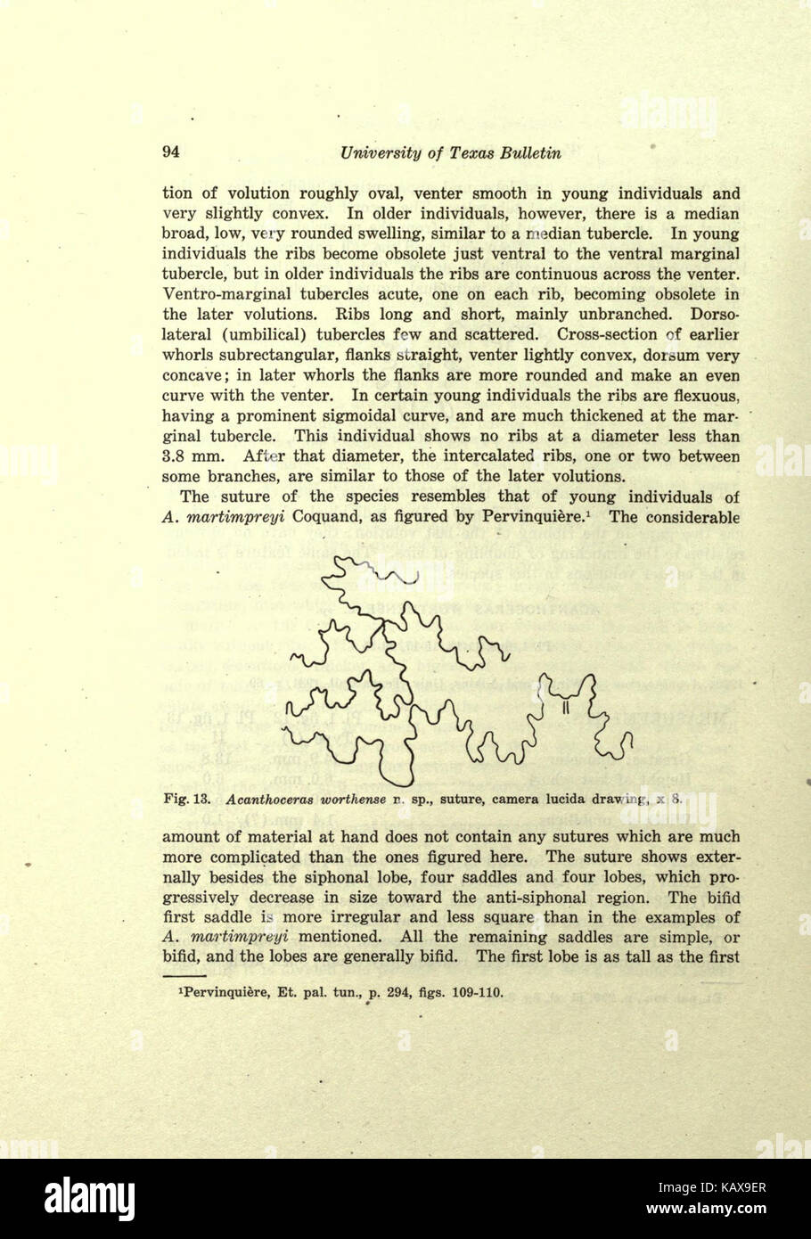 The Weno and Pawpaw formations of the Texas Comanchean (Page 94 ...