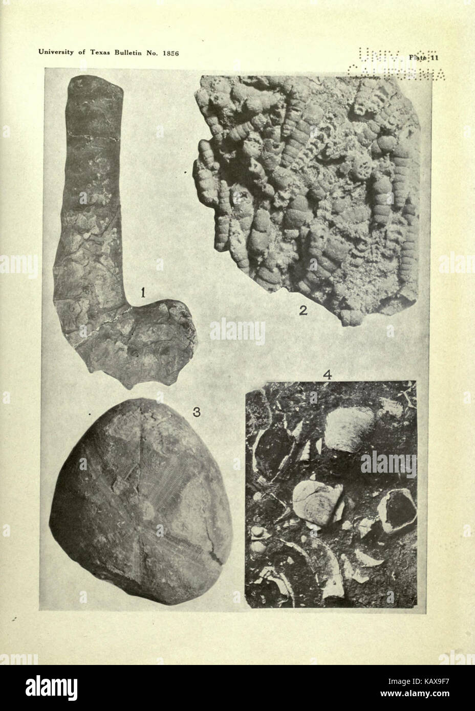 Weno formation hi-res stock photography and images - Alamy