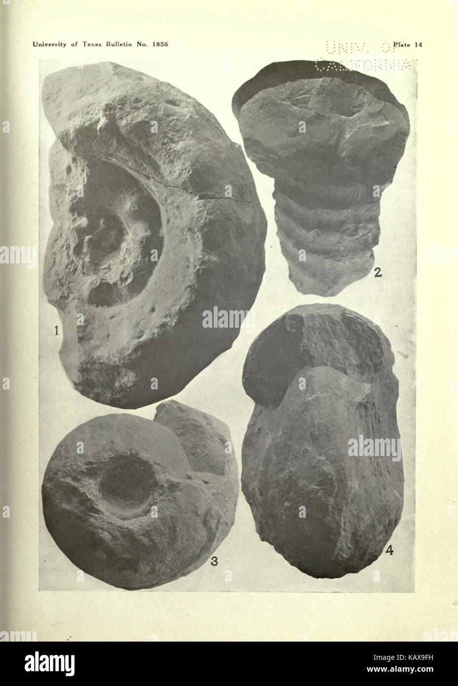 Weno formation hi-res stock photography and images - Alamy