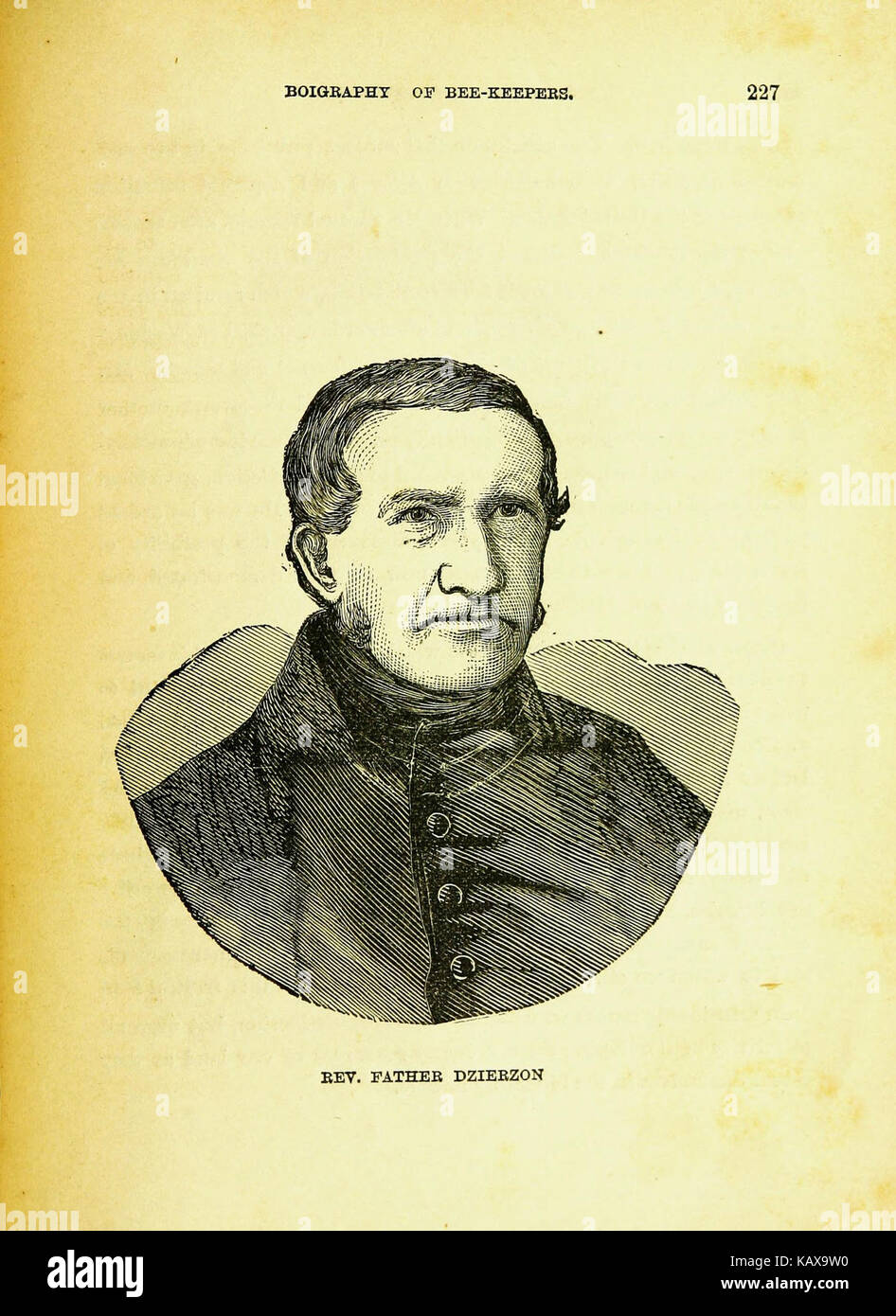 The new bee keepers' text book (Page 227) BHL42109981 Stock Photo - Alamy