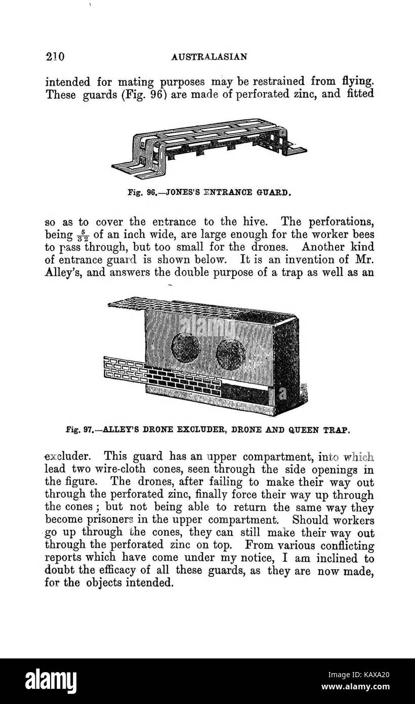Bee harvesting nectar pollen Black and White Stock Photos & Images - Alamy