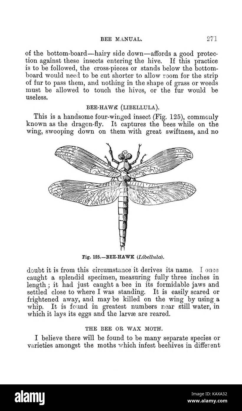 The illustrated Australasian bee manual and complete guide to modern ...