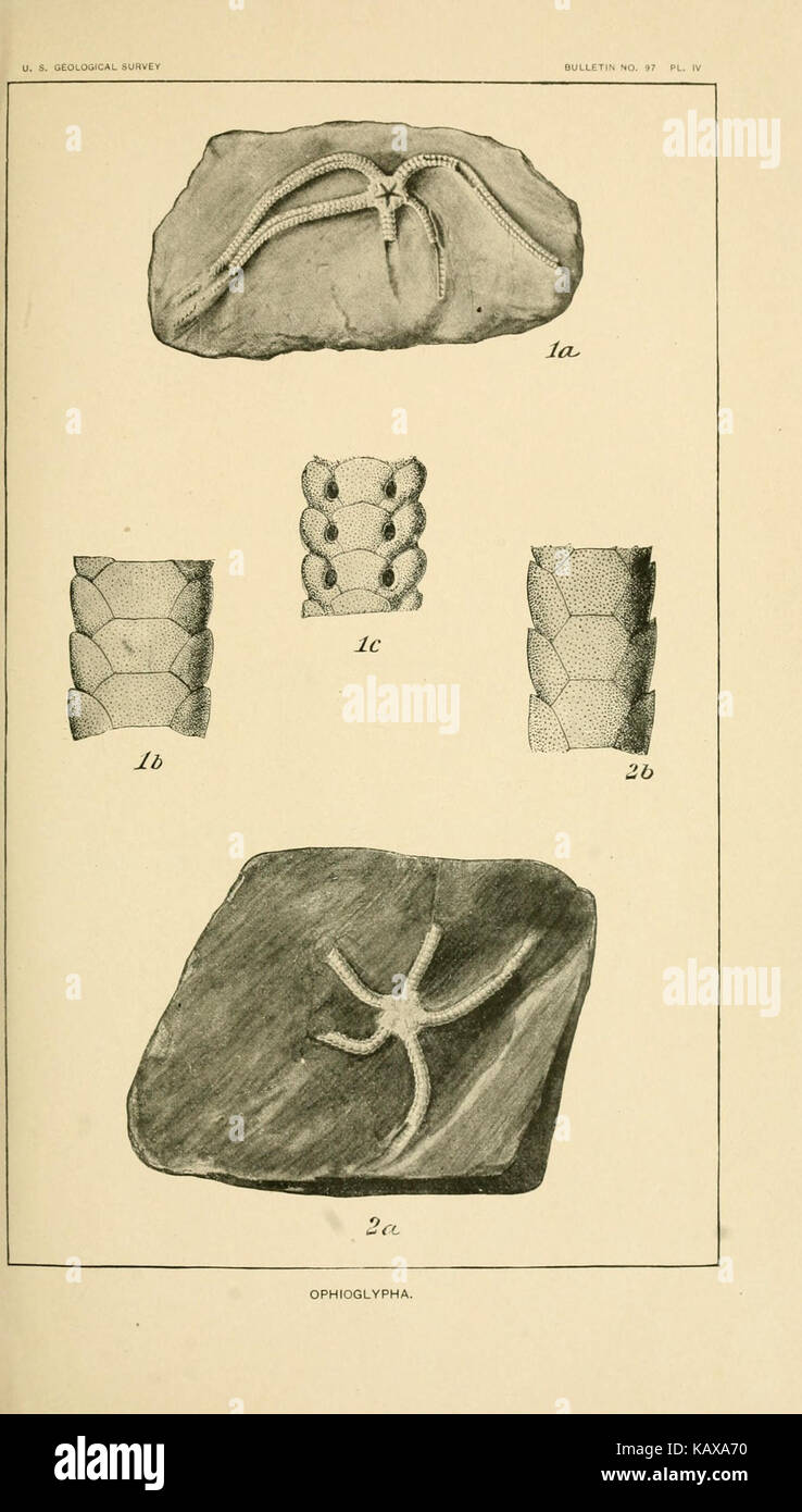 Mesozoic map hi-res stock photography and images - Alamy