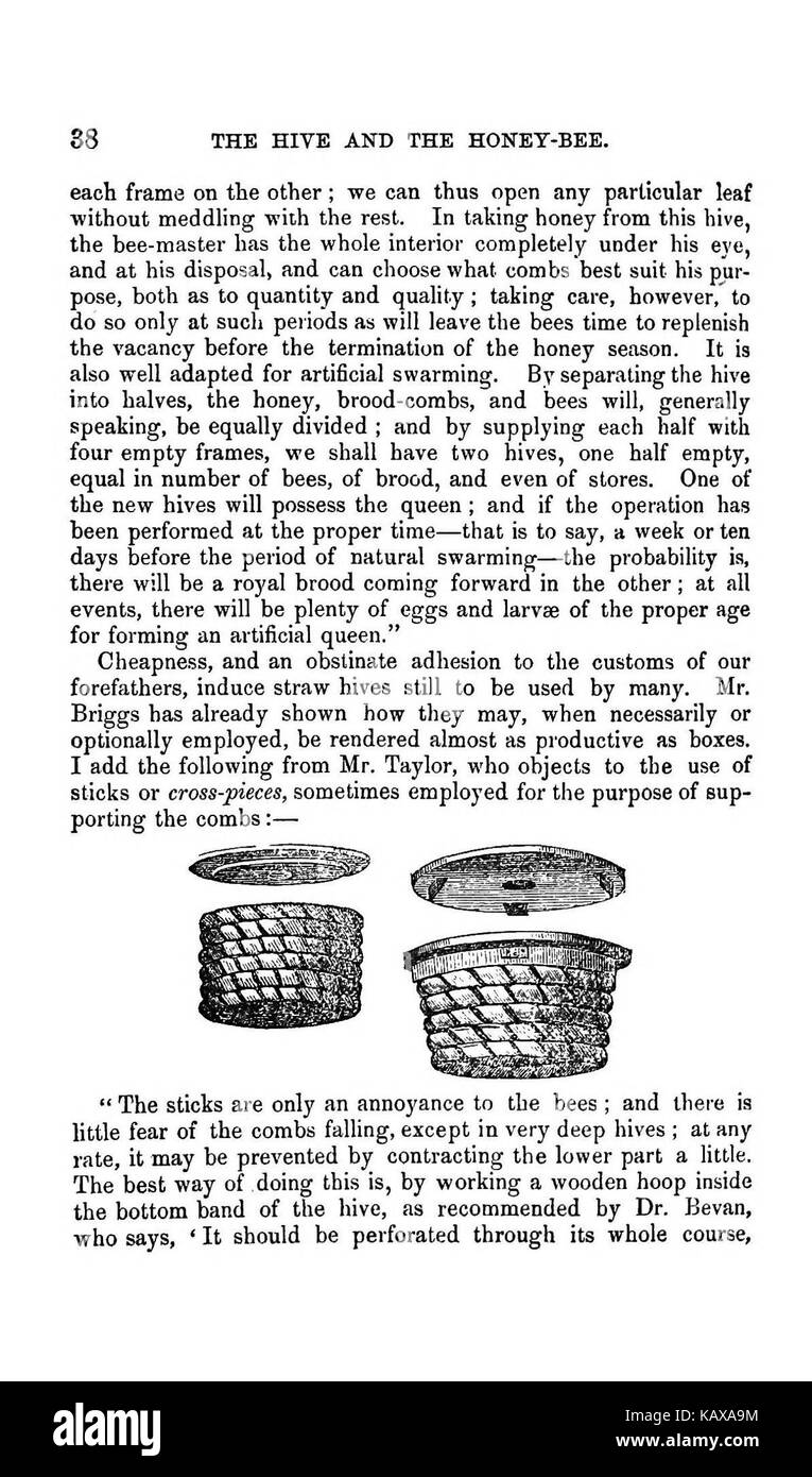 Pollinators bees Cut Out Stock Images & Pictures - Alamy