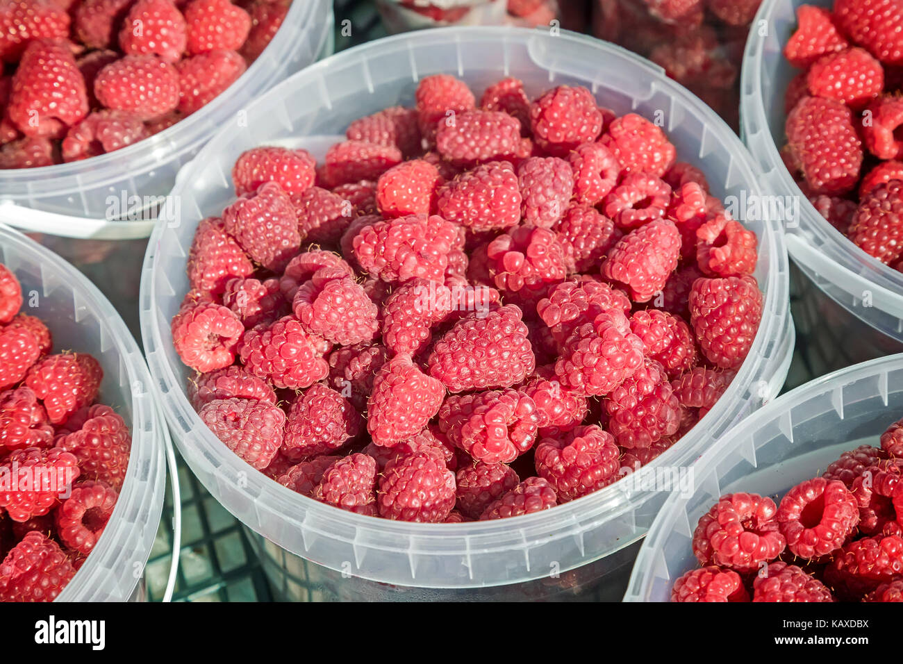Ripe red raspberries in small containers for sale at the store Stock ...