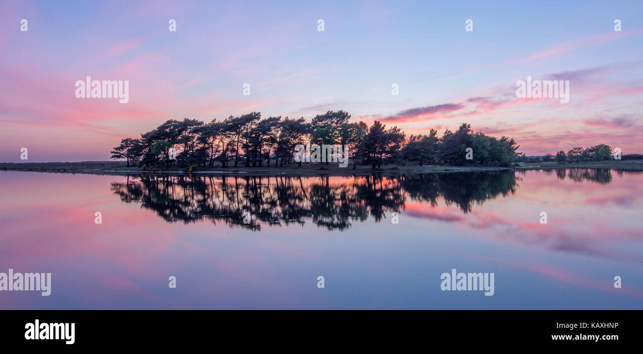 Hatchet Pond in the New Forest at sunset Stock Photo - Alamy