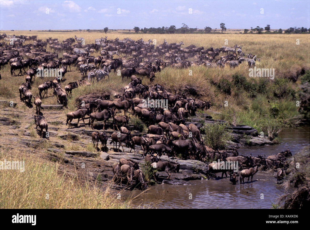 Tiak tiak river hi-res stock photography and images - Alamy