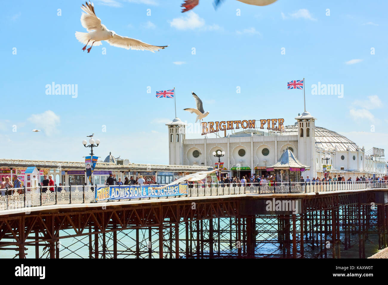 A seagull flies in front of Brighton Pier entrance Stock Photo - Alamy
