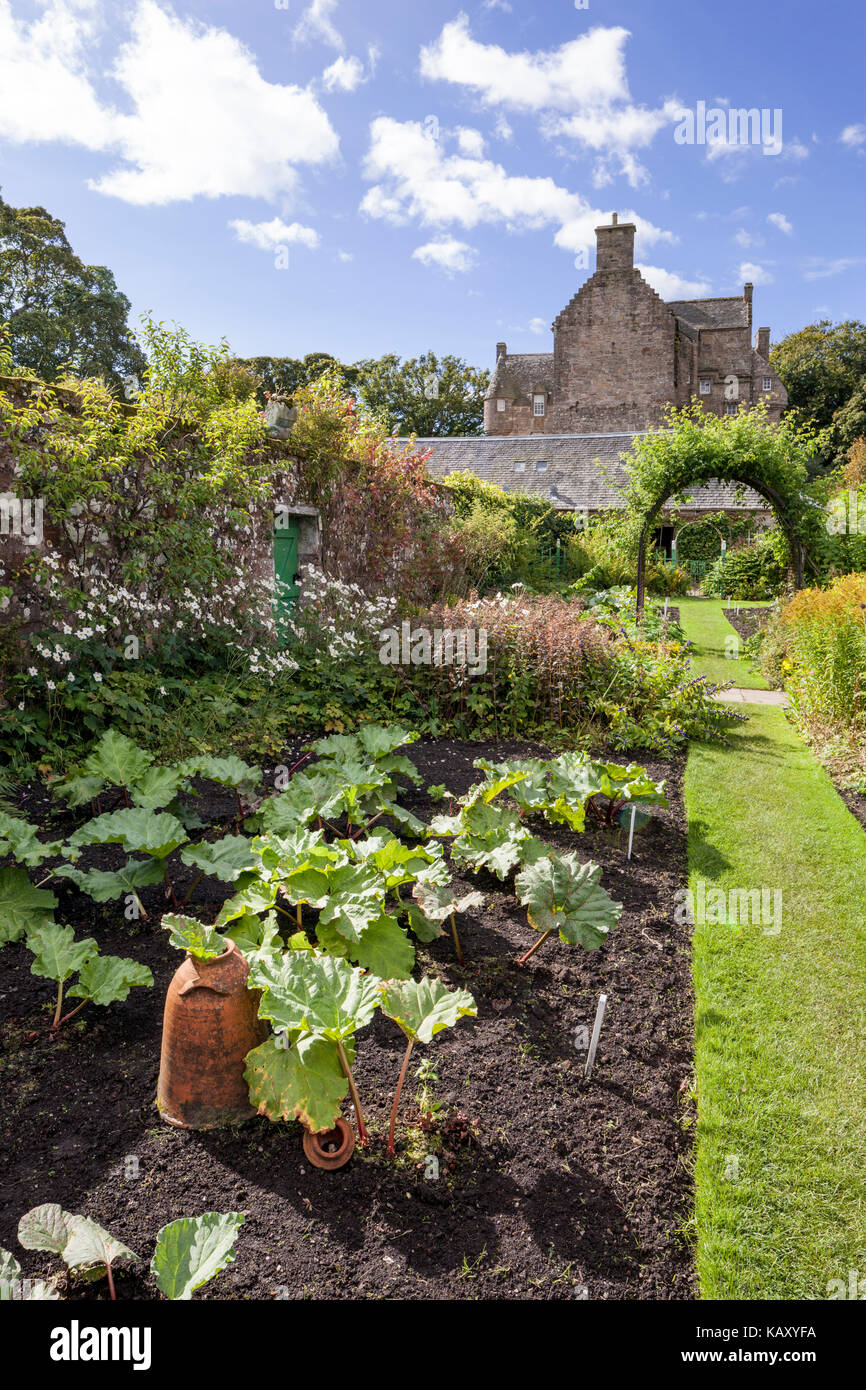Some of the 24 different varieties of rhubarb grown in the gardens of ...