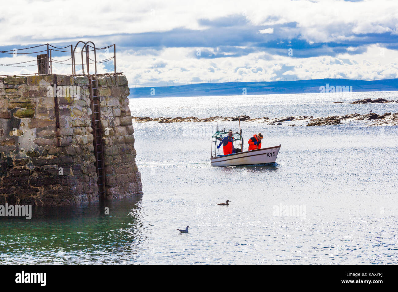 A lobster fishing boat entering the harbour at Crail, Fife, Scotland UK ...