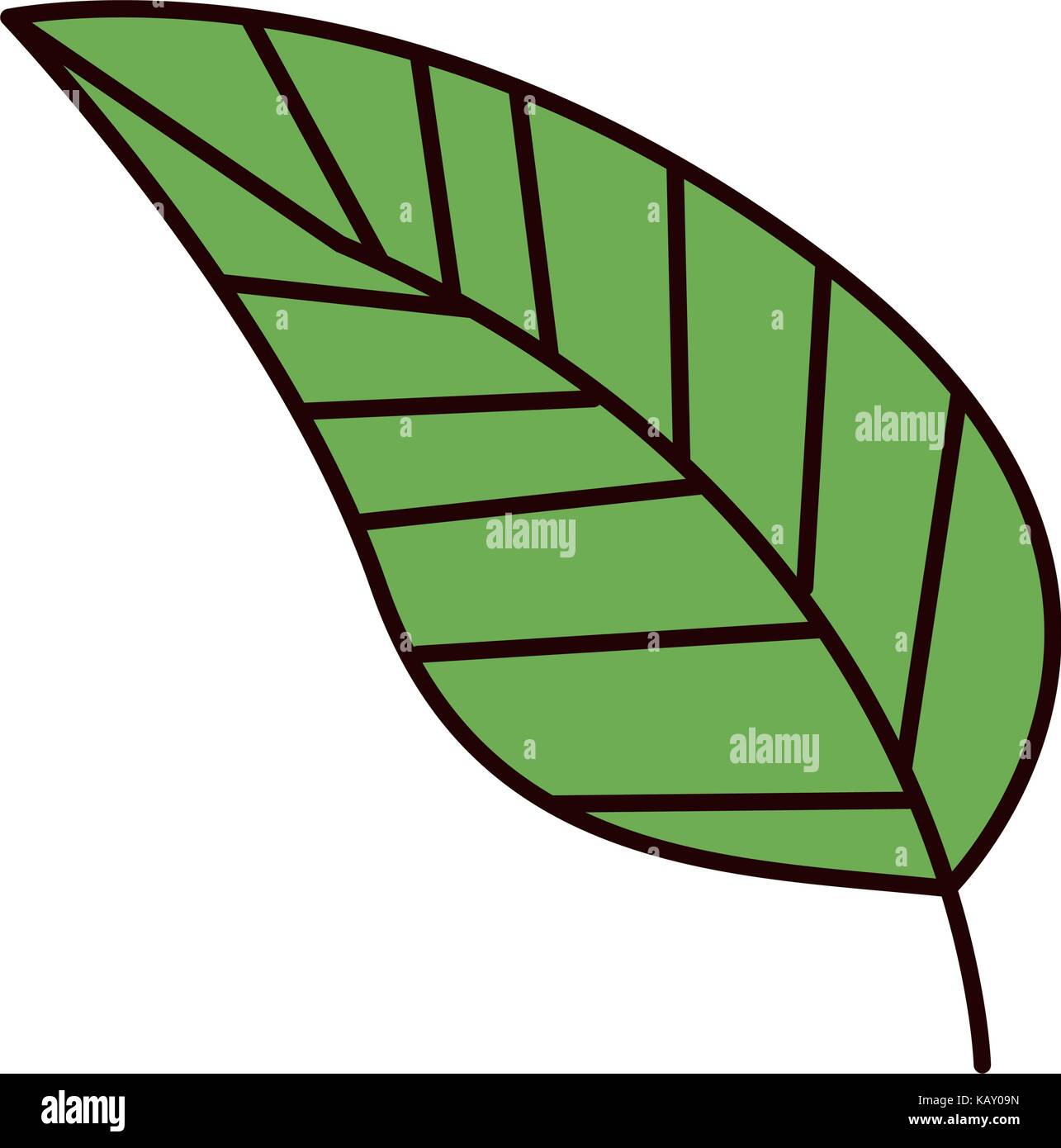 single leaf icon image Stock Vector Image & Art - Alamy