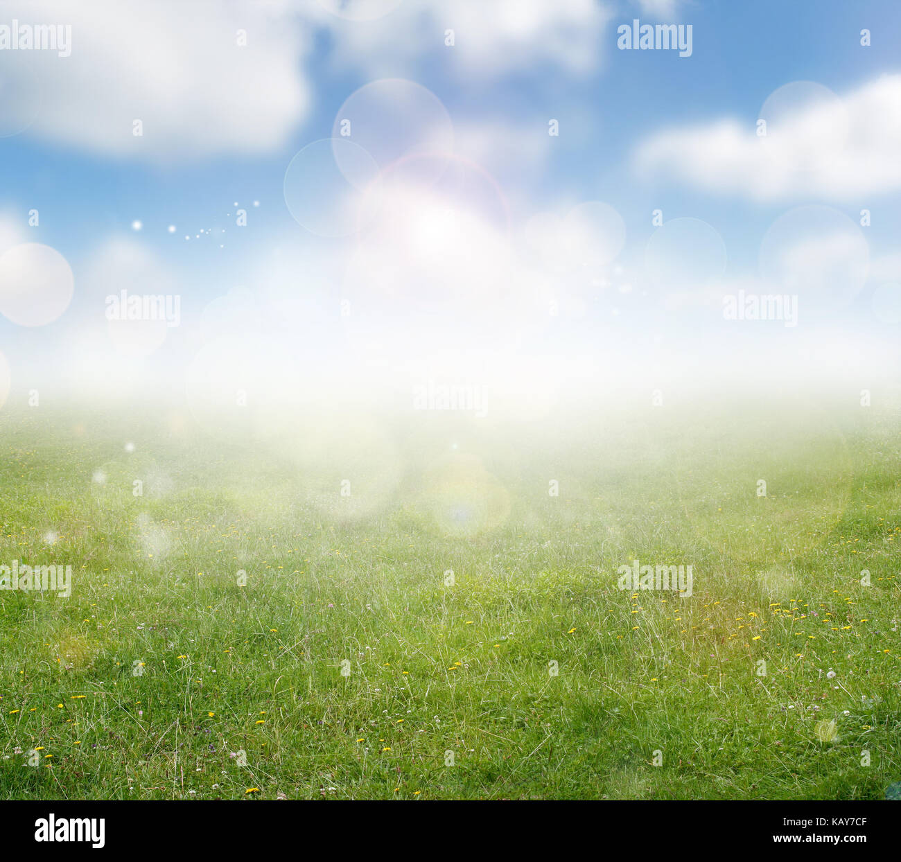 Green meadow and blue sky spring background Stock Photo - Alamy
