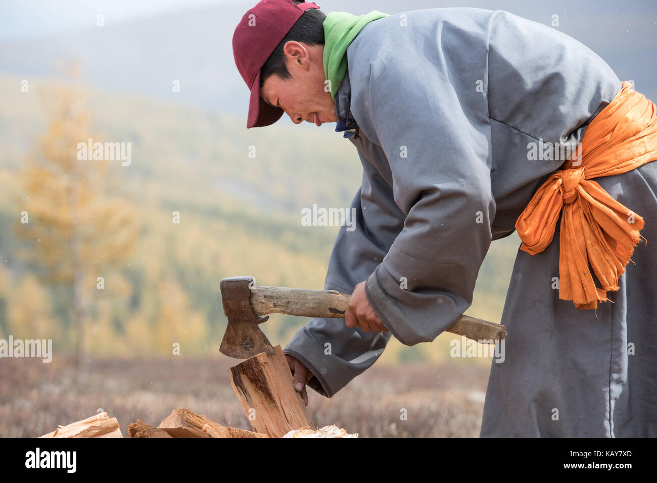 Axing hi-res stock photography and images - Alamy