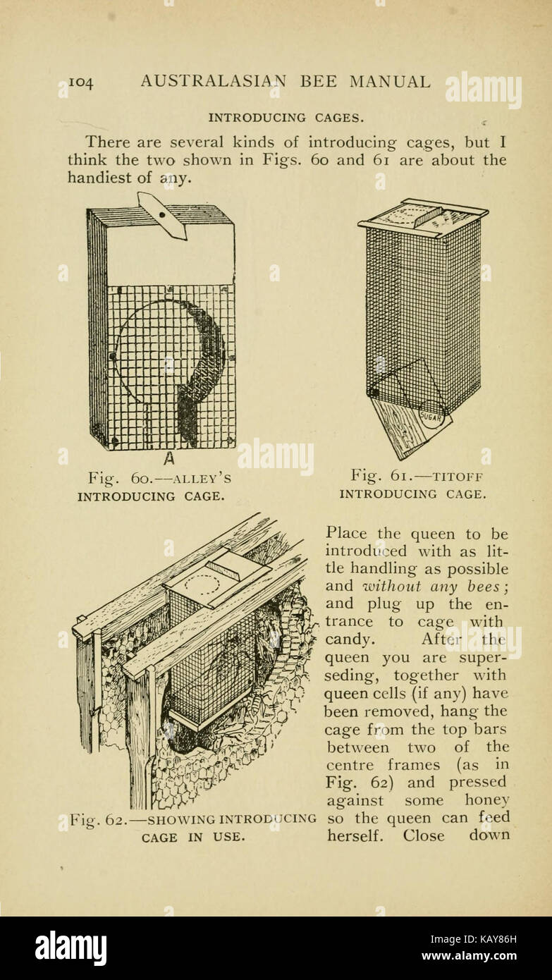 The illustrated Australasian bee manual and complete guide to modern ...