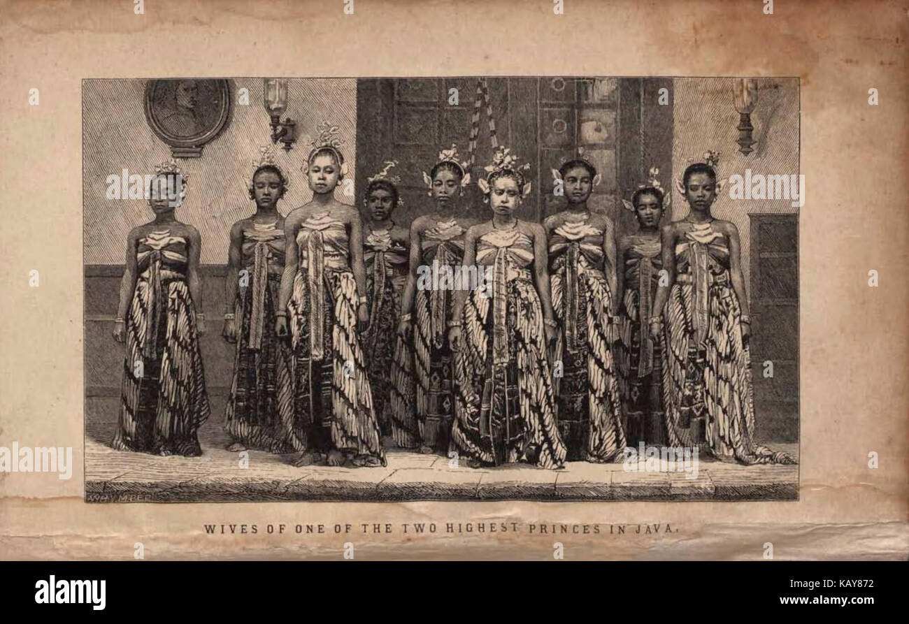 Travels in the East Indian Archipelago BHL46295211 Stock Photo - Alamy