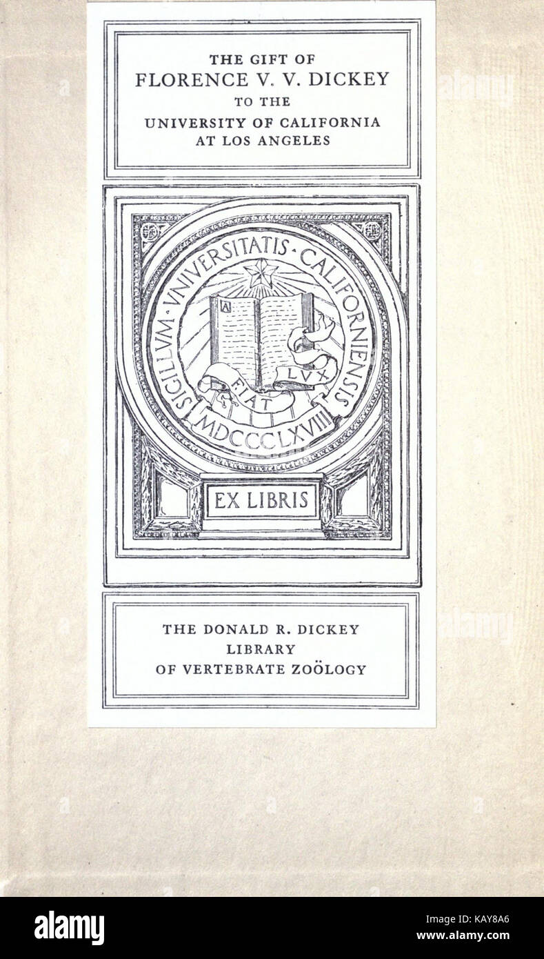 The life of the weevil BHL19260734 Stock Photo - Alamy