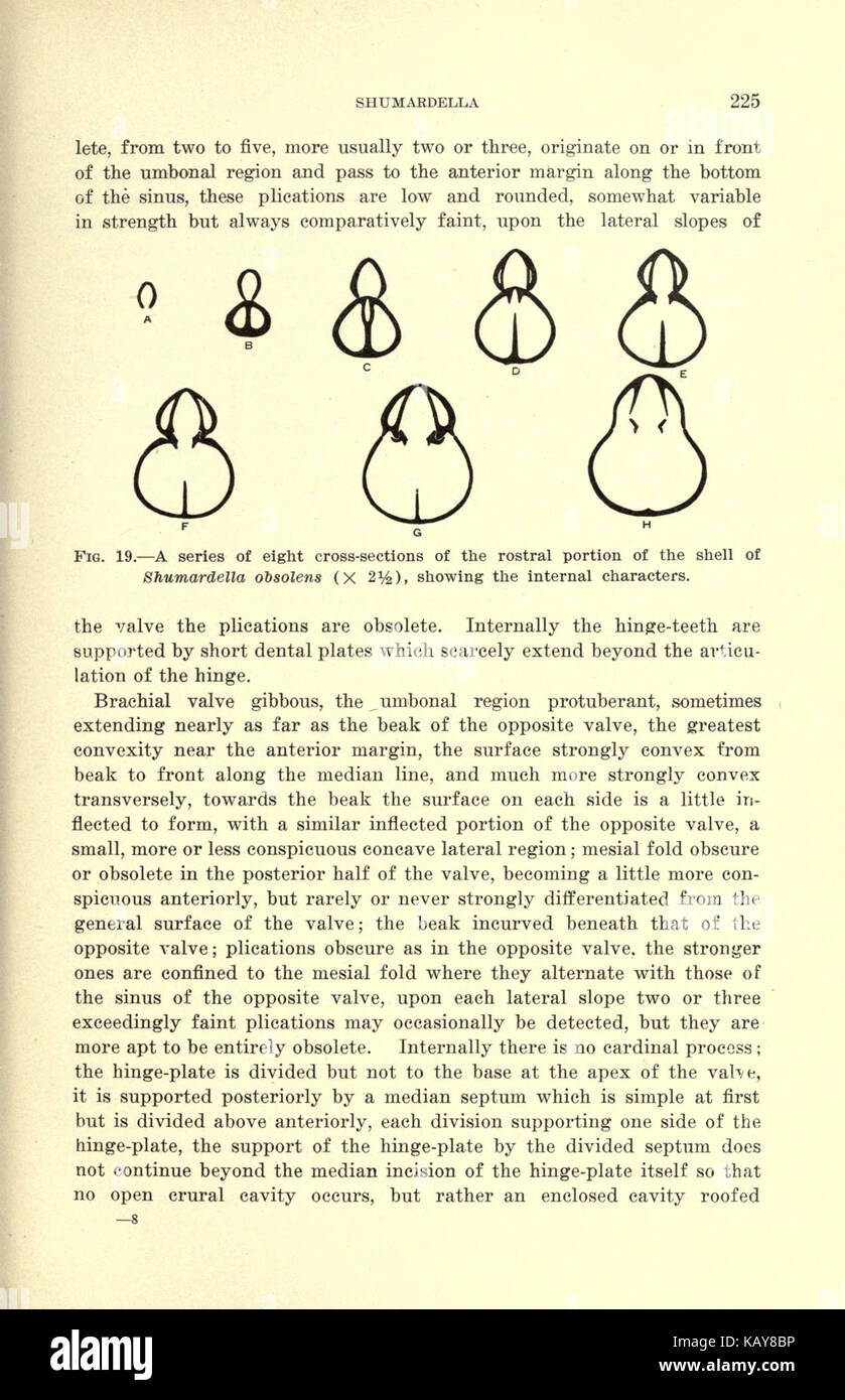 Water valley mississippi map hi-res stock photography and images - Alamy