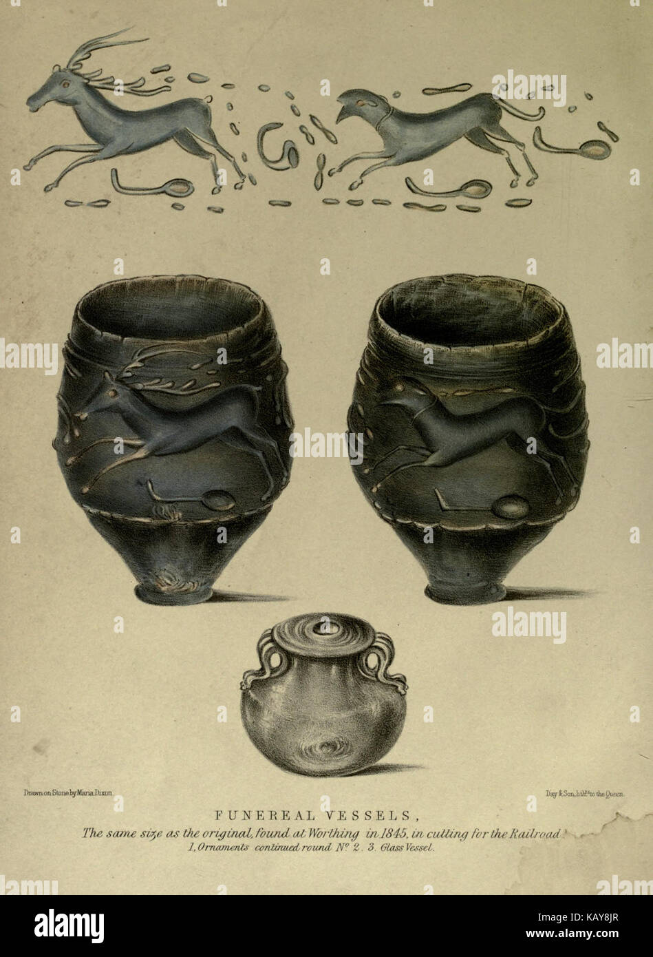 The geology and fossils of the Tertiary and Cretaceous formations of ...