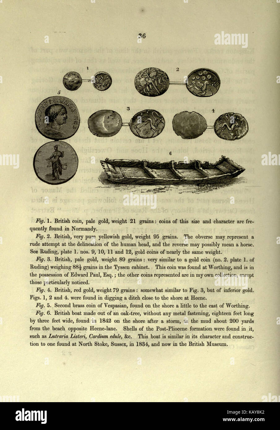 The geology and fossils of the Tertiary and Cretaceous formations of ...