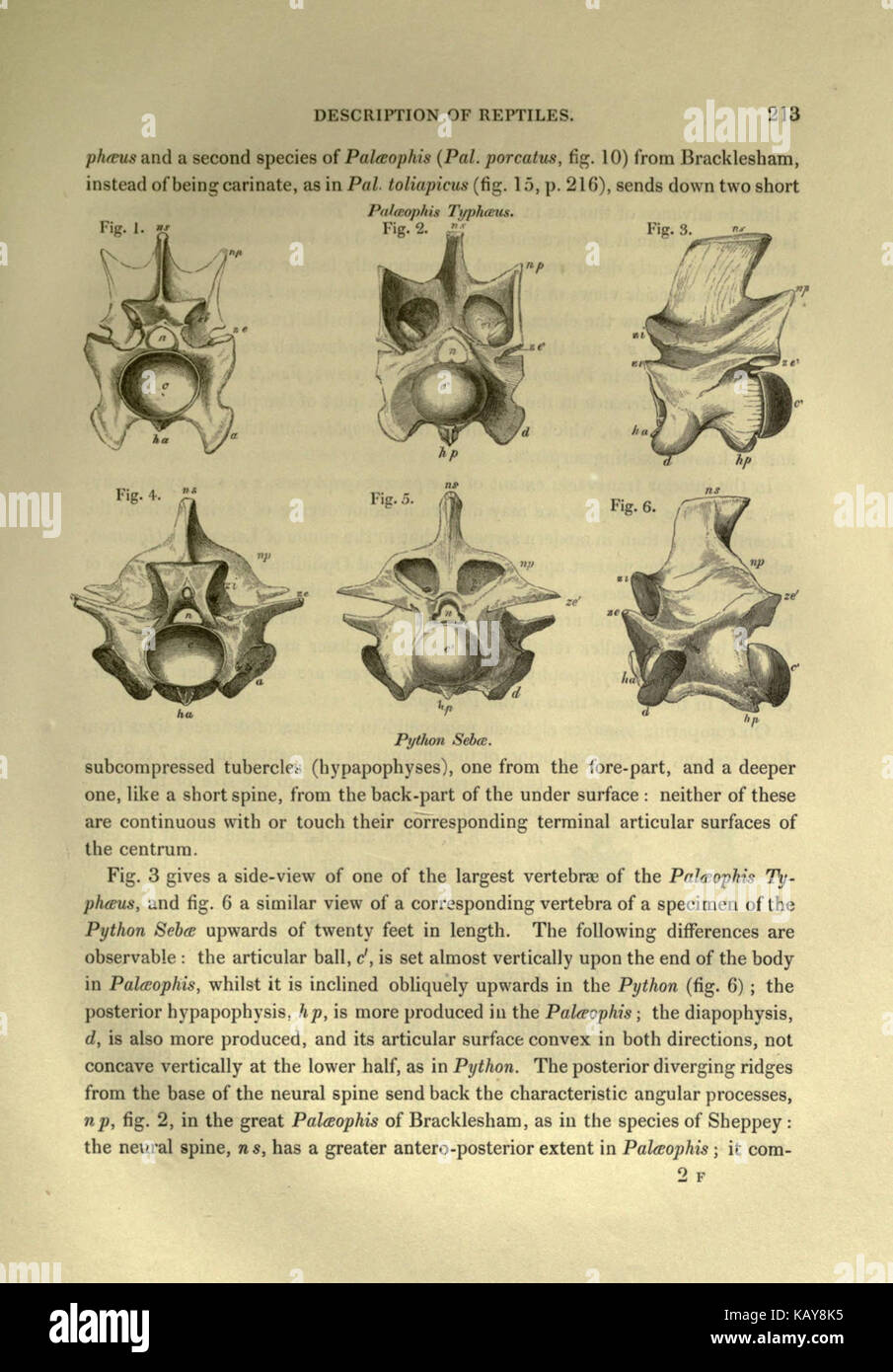 The geology and fossils of the Tertiary and Cretaceous formations of ...