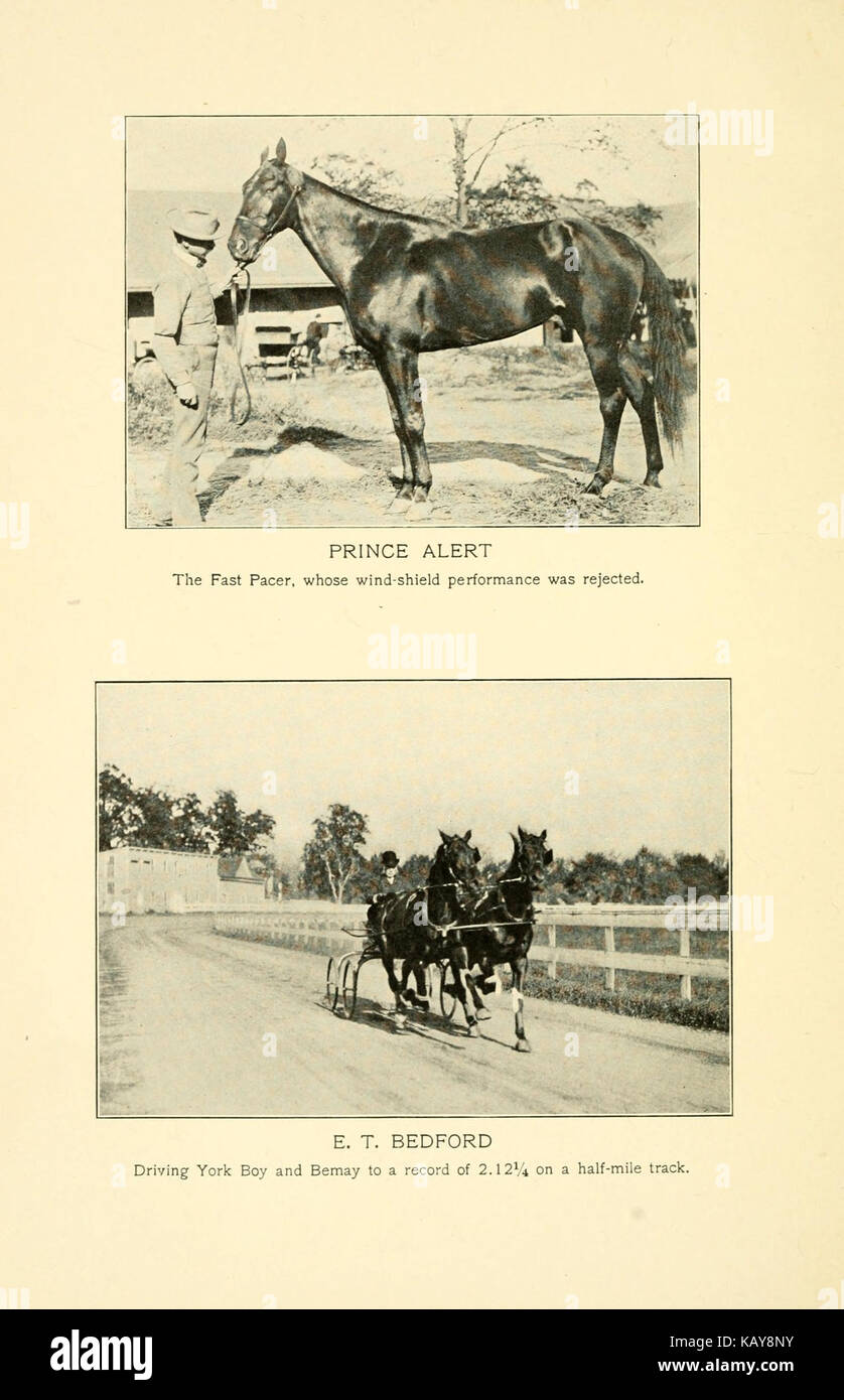The trotting and the pacing horse in America BHL21442072 Stock Photo ...