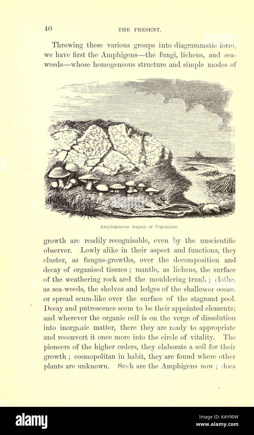 'The Past and Present Life of the Globe' on page 40, from a historical ...