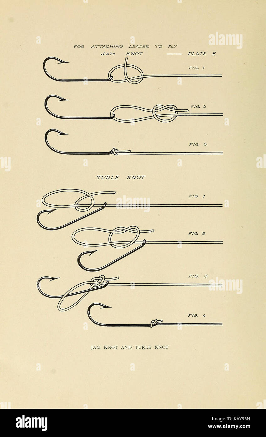 This image depicts the practice of trout fly fishing, a popular outdoor ...