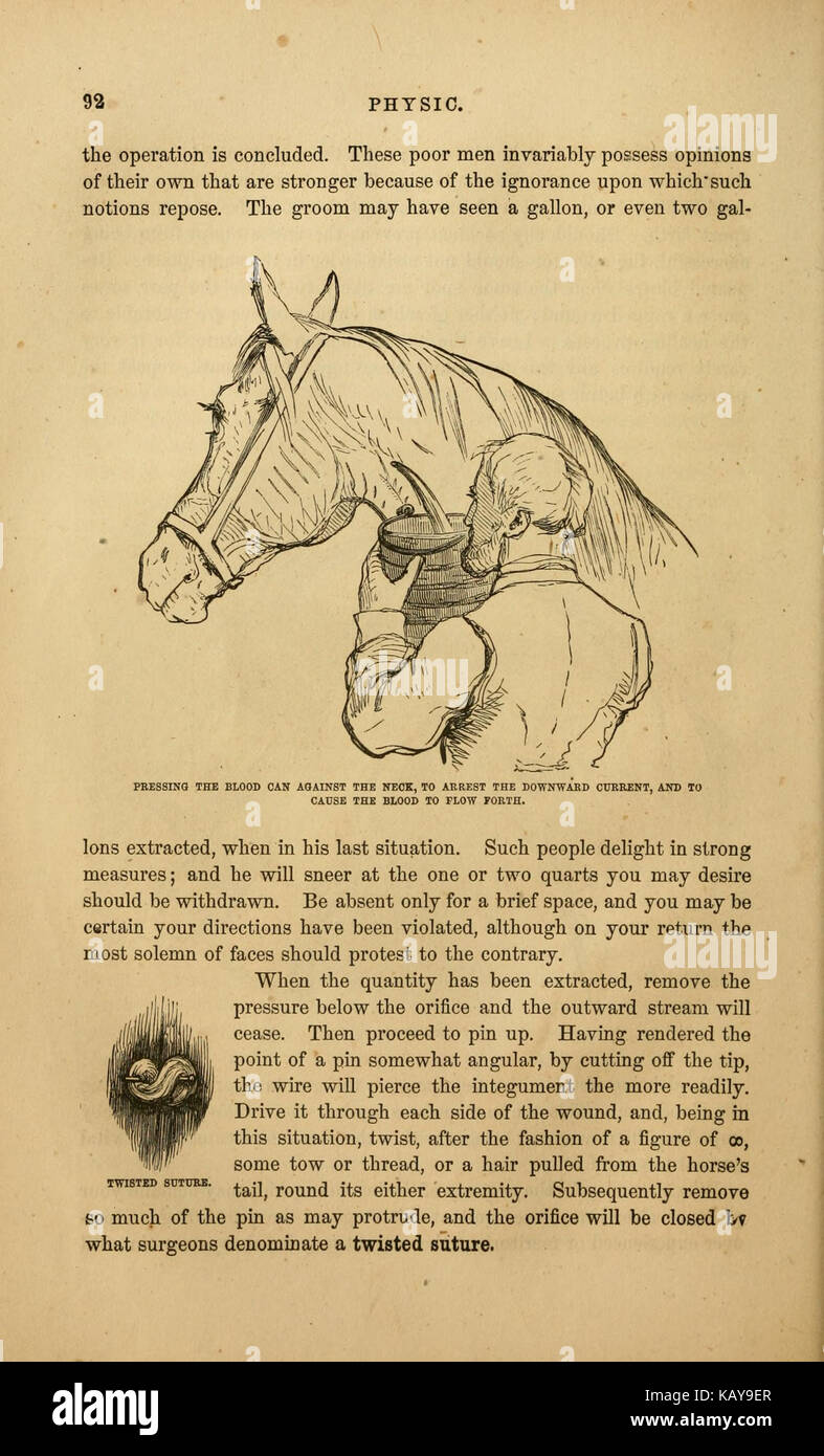 The illustrated horse management (Page 92) BHL21199535 Stock Photo - Alamy
