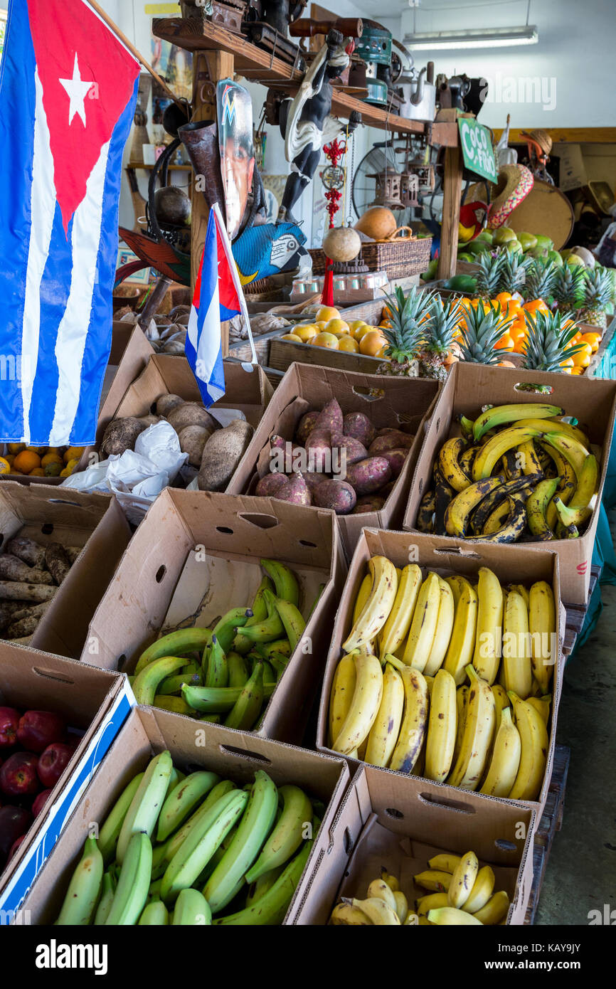 Miami, Florida. Little Havana Cuban Fruit Store, Los Pinarenos Fruteria ...