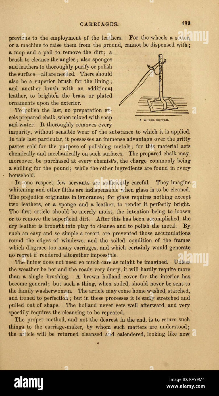 Equine care guide hi-res stock photography and images - Alamy