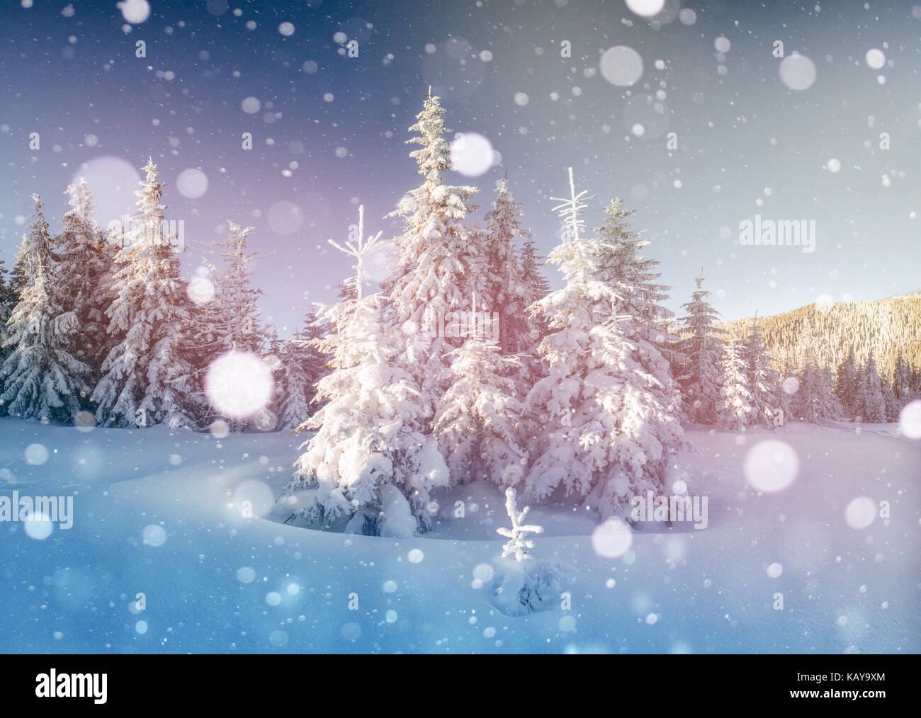 Mysterious winter landscape majestic mountains in winter. Magical ...