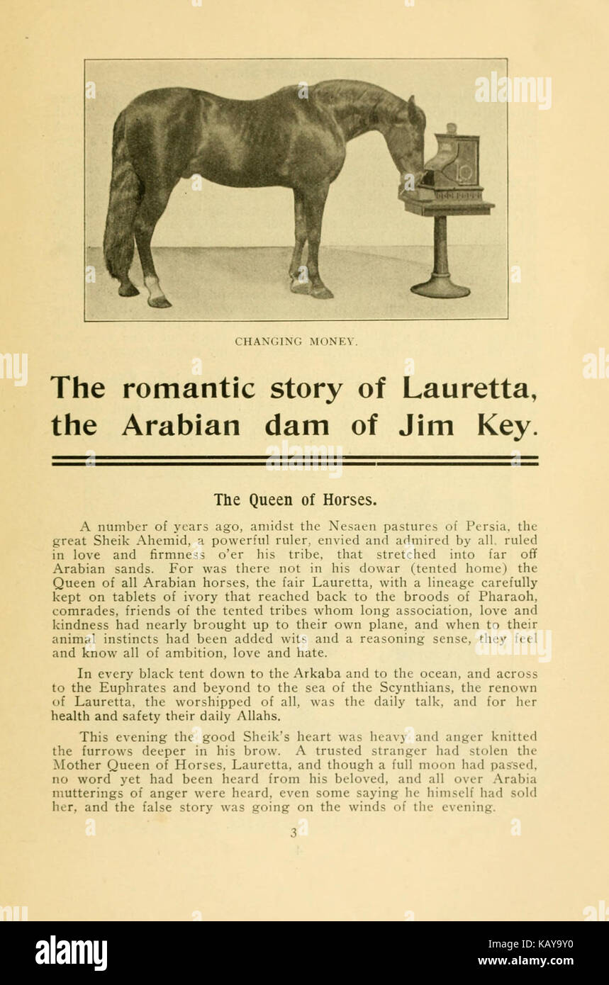 The story of Beautiful Jim Key (Page 3) BHL24214398 Stock Photo - Alamy