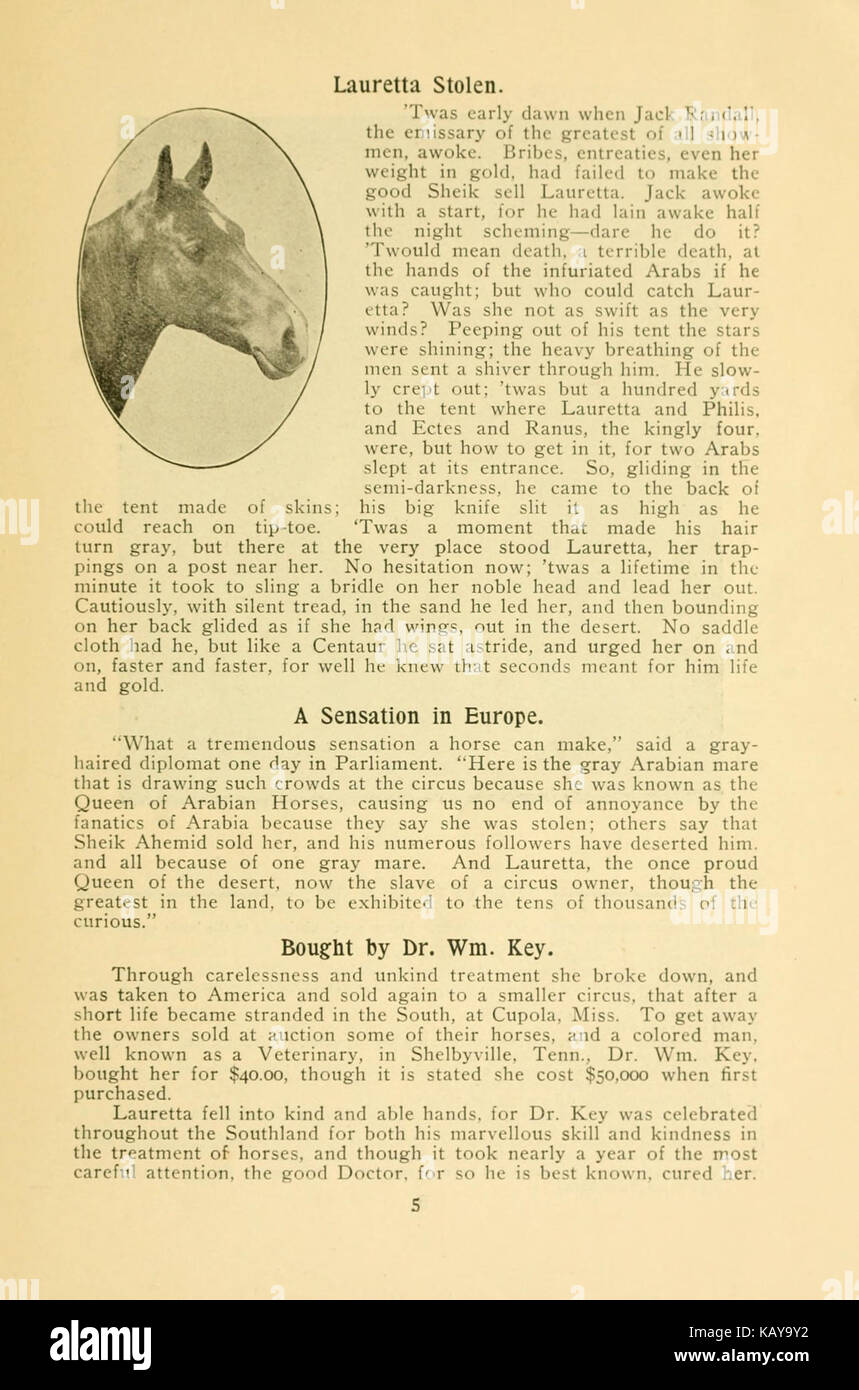 The story of Beautiful Jim Key (Page 5) BHL24214396 Stock Photo - Alamy