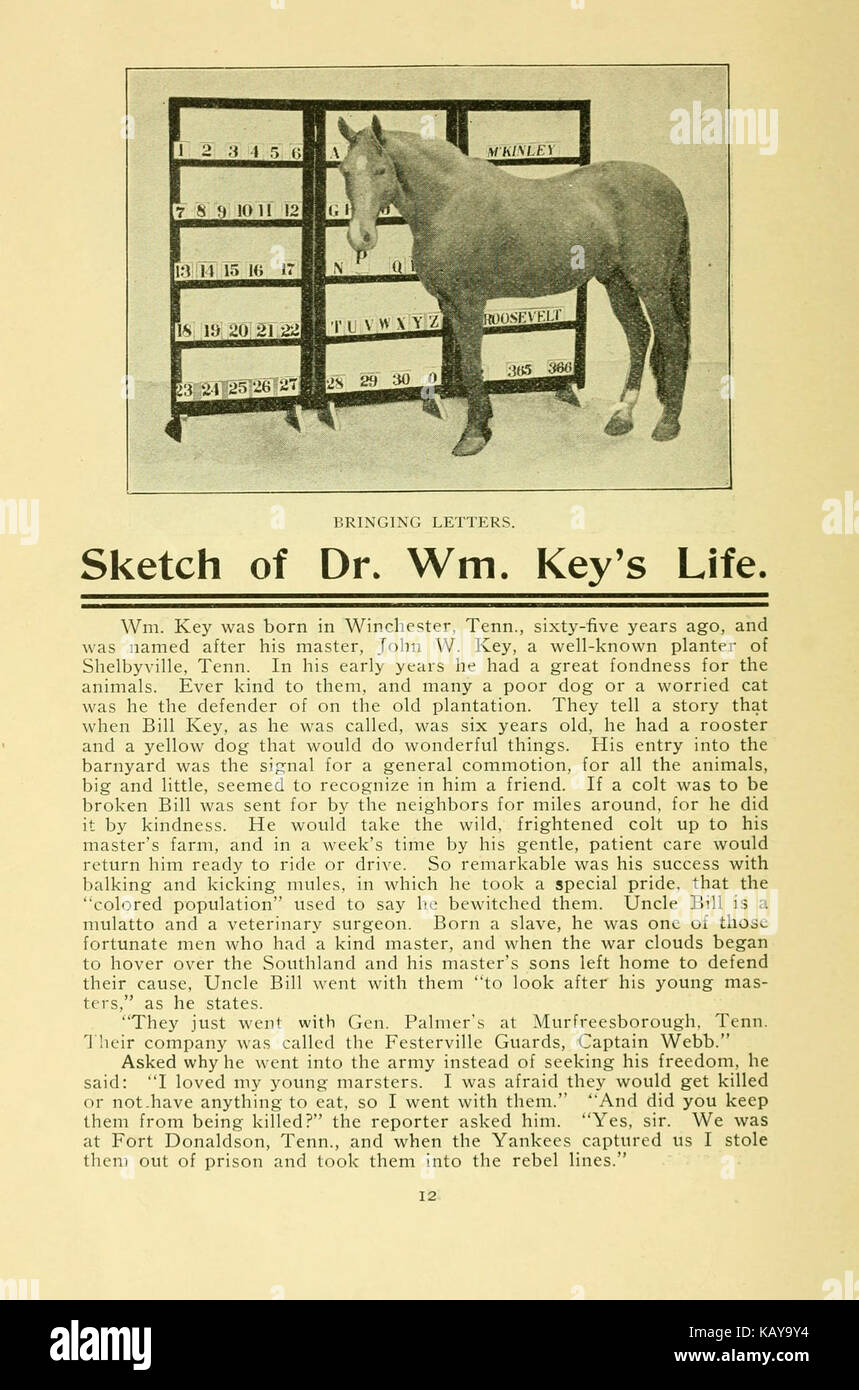 The story of Beautiful Jim Key (Page 12) BHL24214389 Stock Photo - Alamy