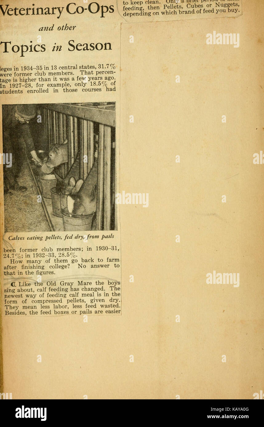 Historical veterinarian hi-res stock photography and images - Alamy