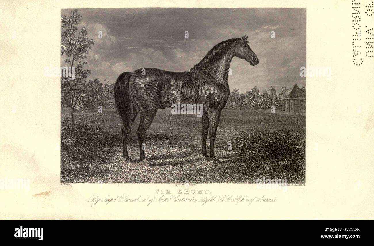 Wallace's American stud book BHL20536953 Stock Photo - Alamy