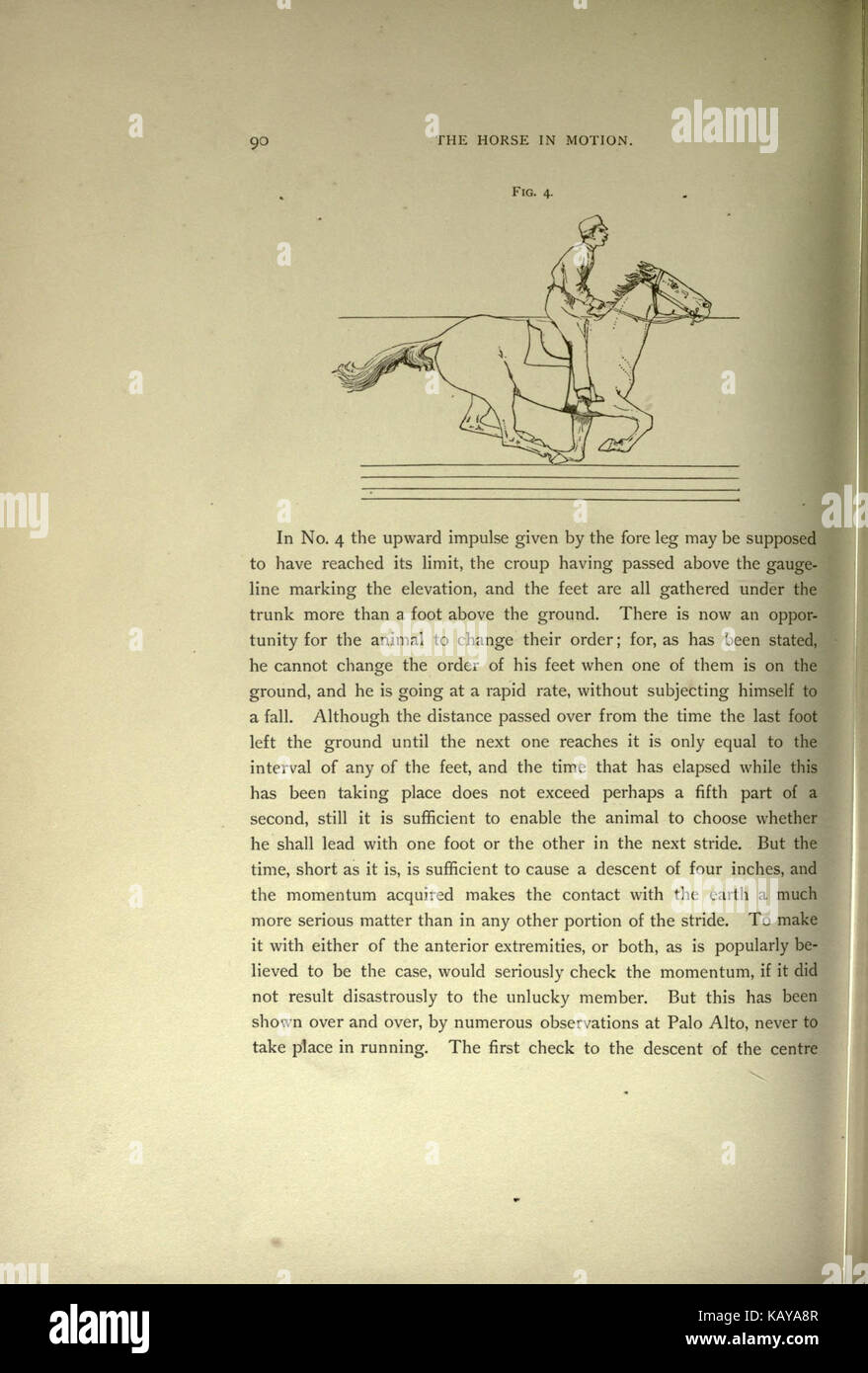 The horse in motion as shown by instantaneous photography (Page 90 ...