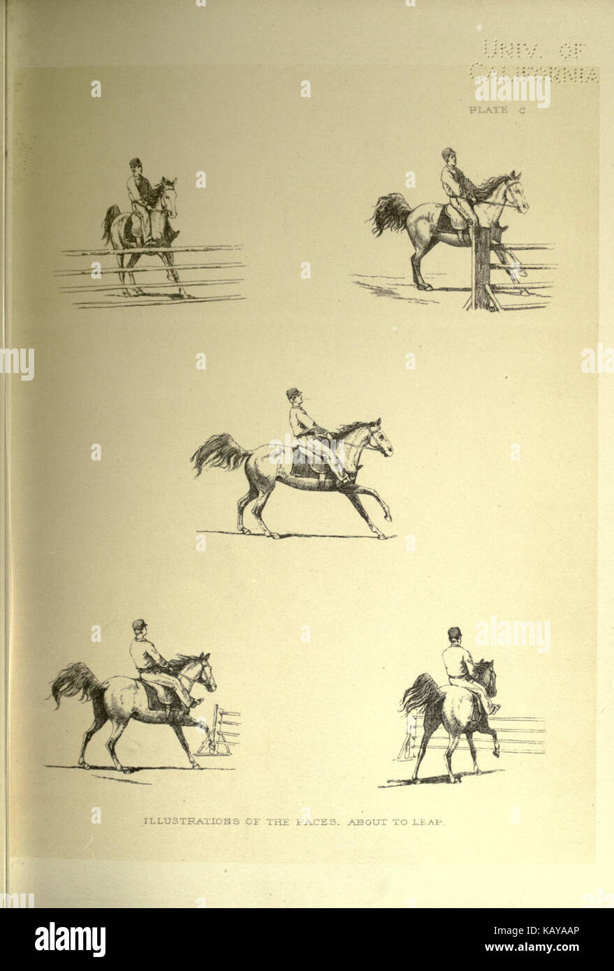 The horse in motion as shown by instantaneous photography BHL19590528 ...