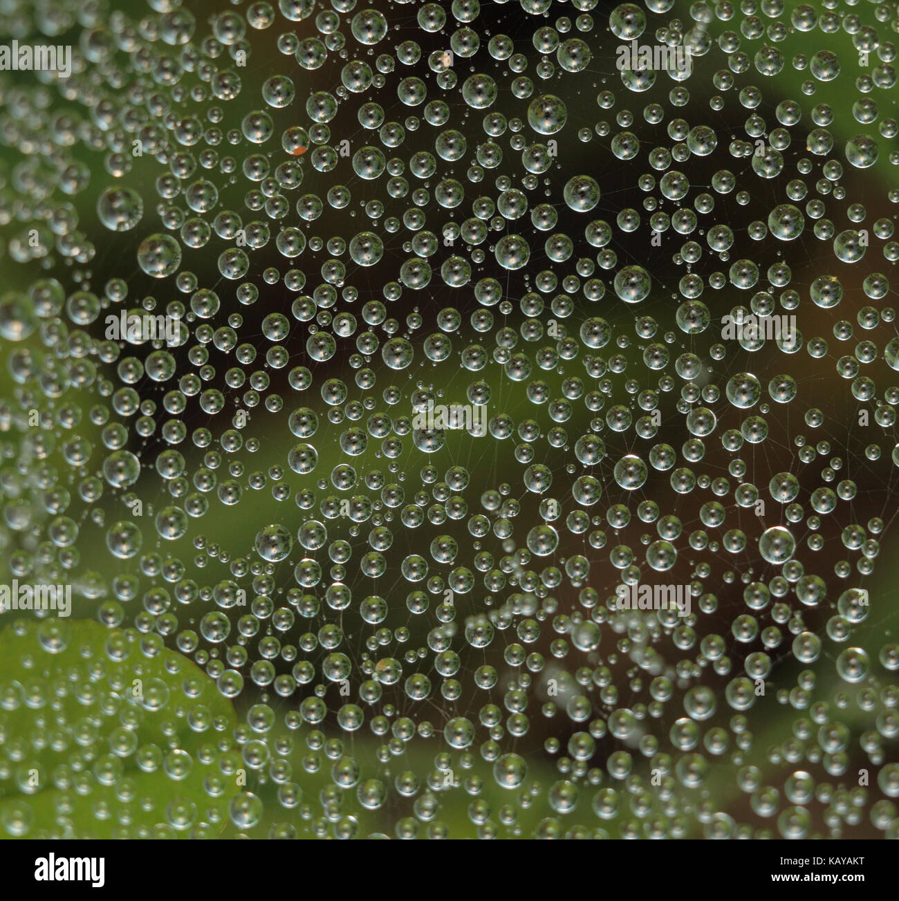 Wet watery surface water hi-res stock photography and images - Alamy