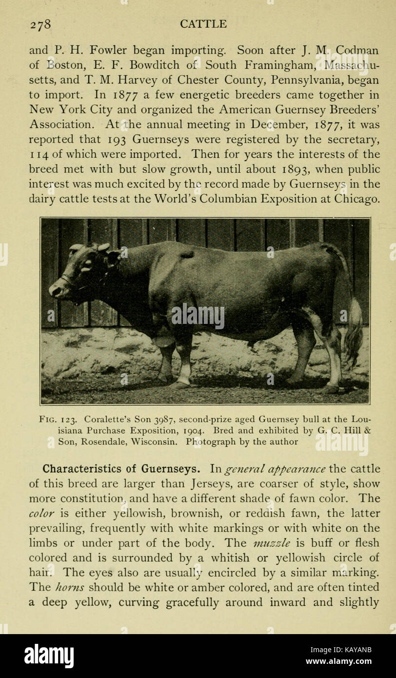 Types and breeds of farm animals (Page 278) BHL23742222 Stock Photo - Alamy